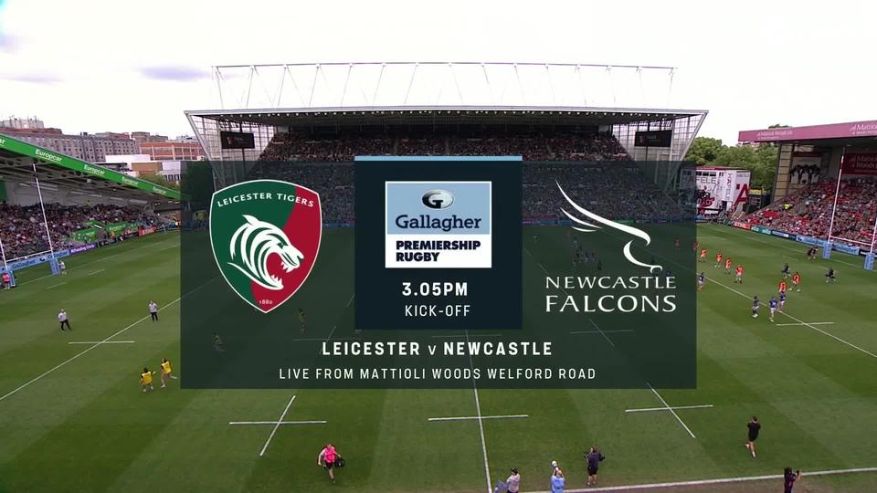 falcons v gloucester